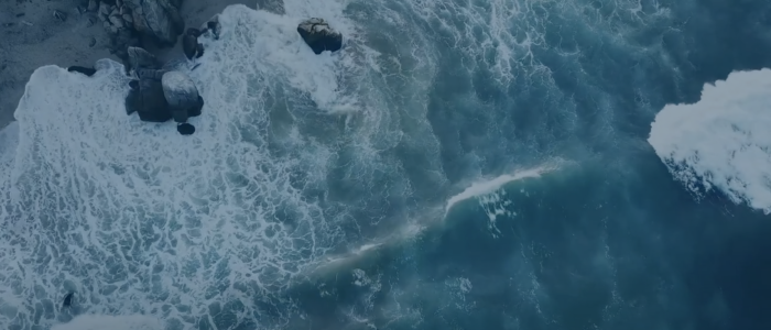 We were fish 2020 - Ocean Connections